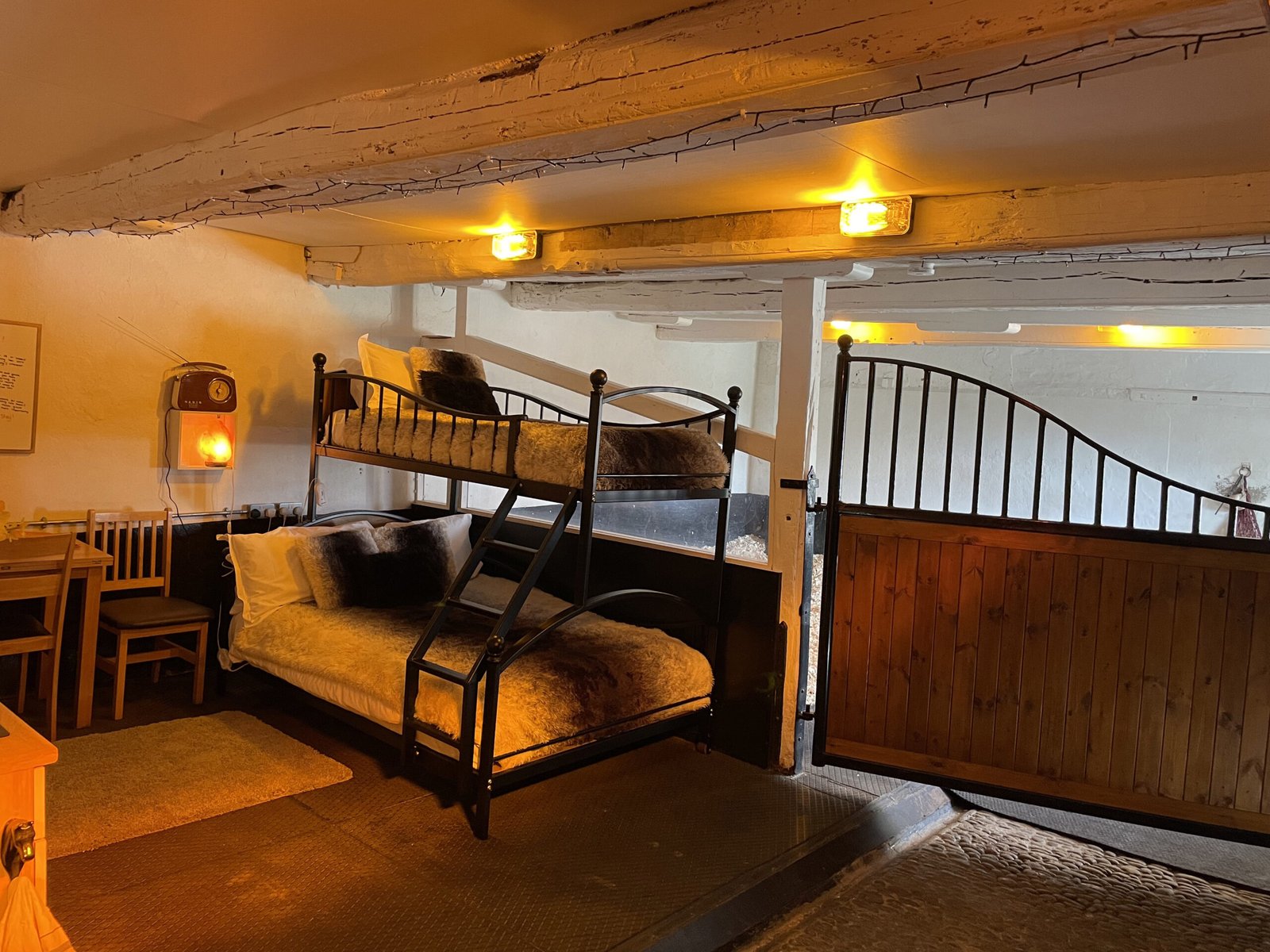 Family farm offers guests night in stable with bunk beds, haynets and ...