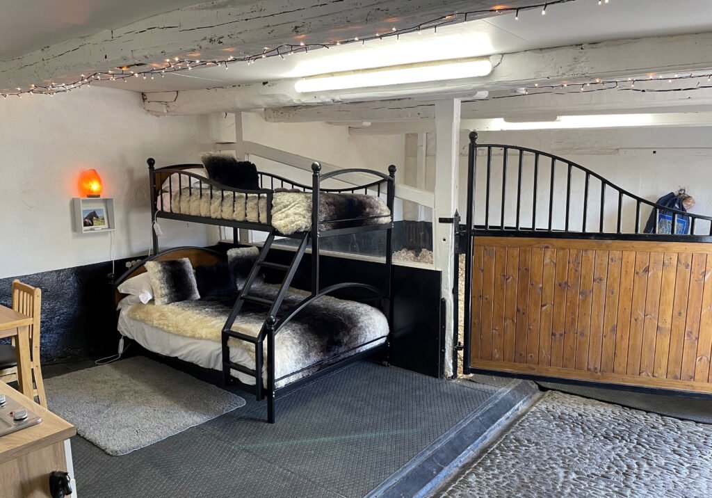 Family farm offers guests night in stable with bunk beds, haynets and ...